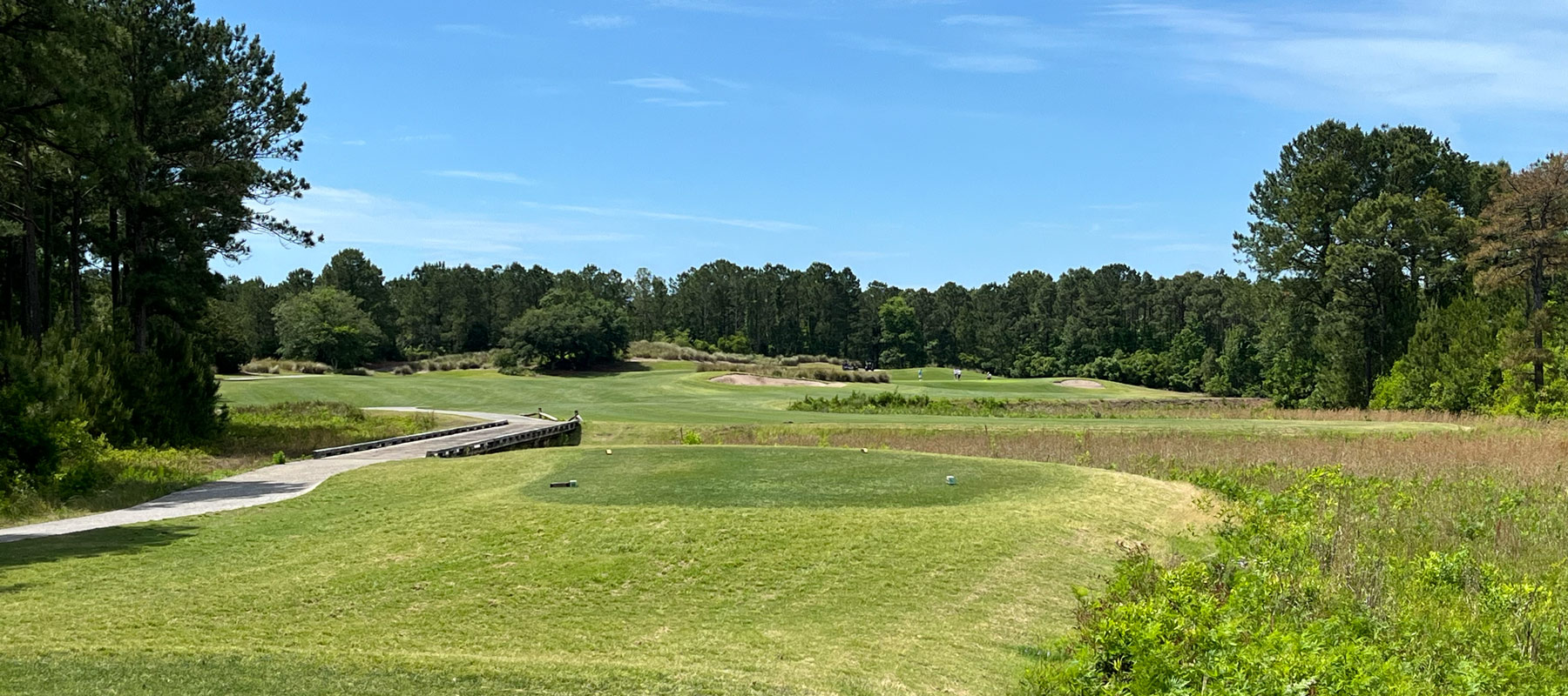 Multiple Golfer Form – Fore Sistas Golf